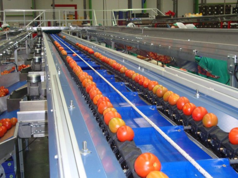 Tomato Grader - FruitTek.com